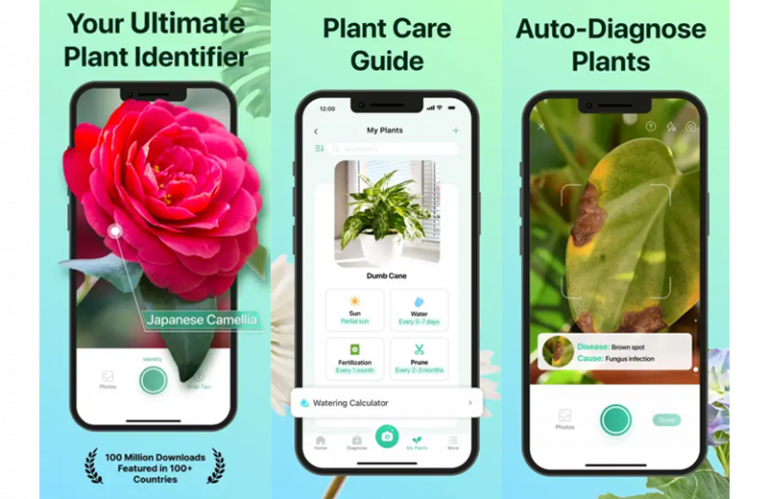 Identify All Plantae With PictureThis Plant Identifier App - App-Tipps